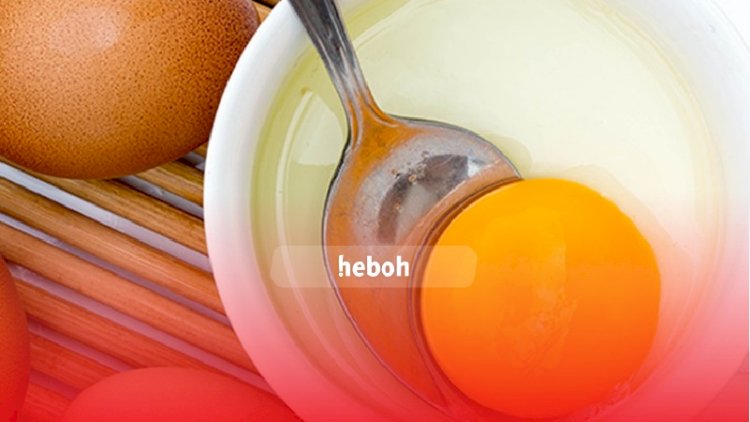 Apa itu Telur Infertil dan Bahayanya - Heboh - Interactivity Digital Media